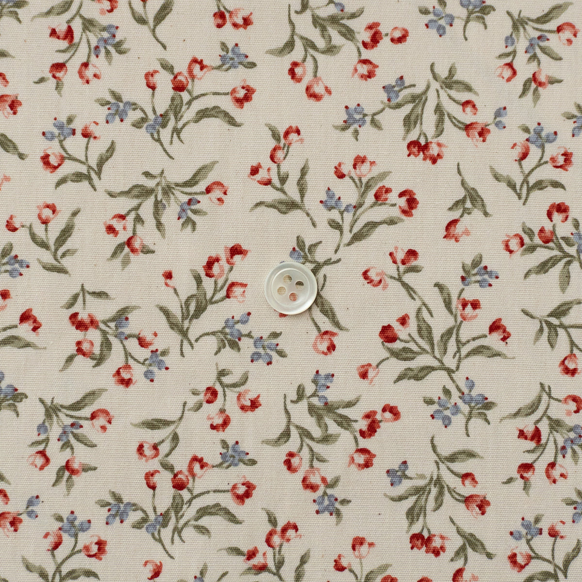Little Garden (Ivory)-ブロード – sani -pattern shop-